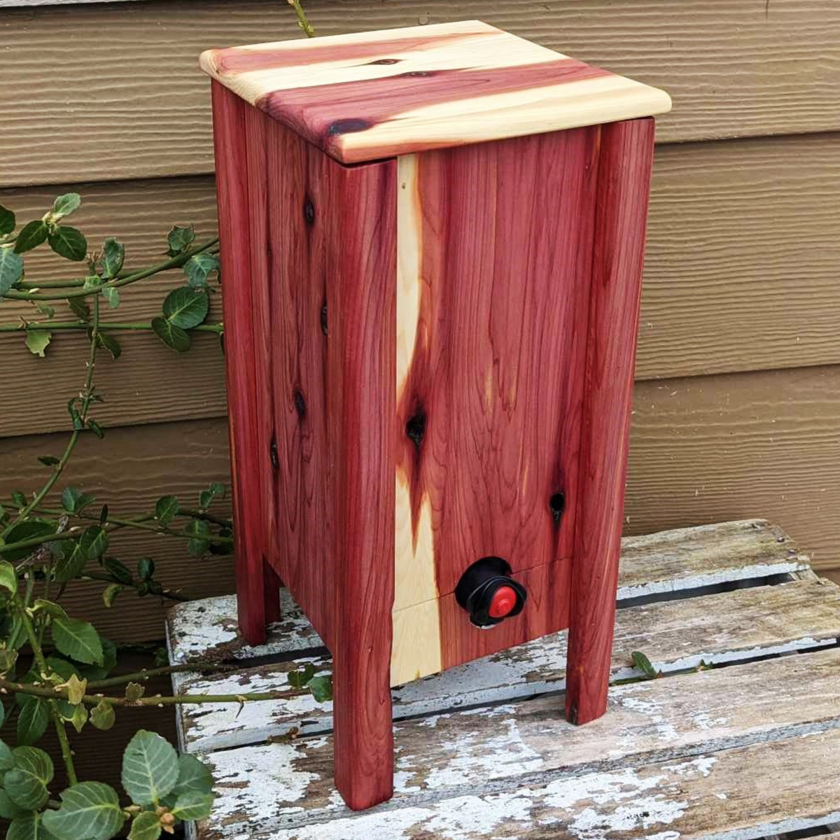 Red Cedar Wood 3 Liter Wine Box Holder, Wooden Bota Wine Box with Remo ...